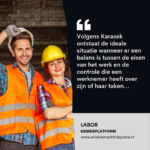 Het Demand-Control Model van Karasek (1979)